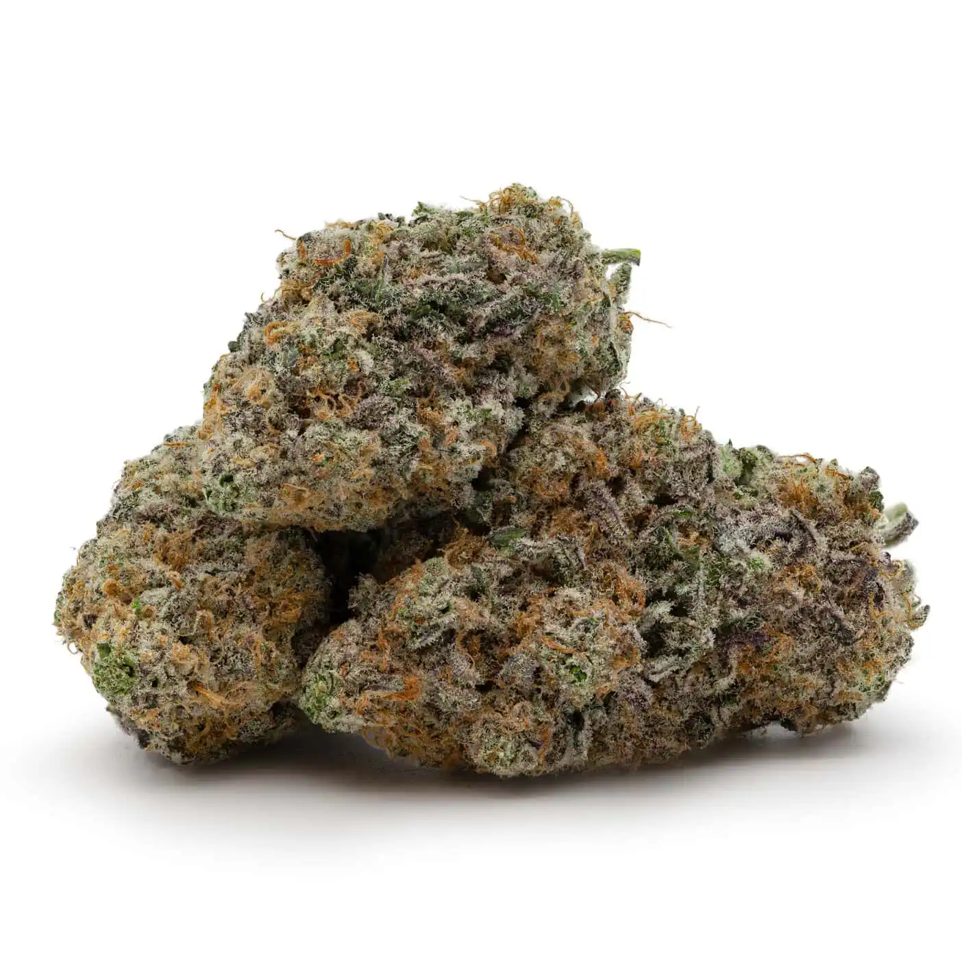 Buy MAC Donut Strain Online in Canada