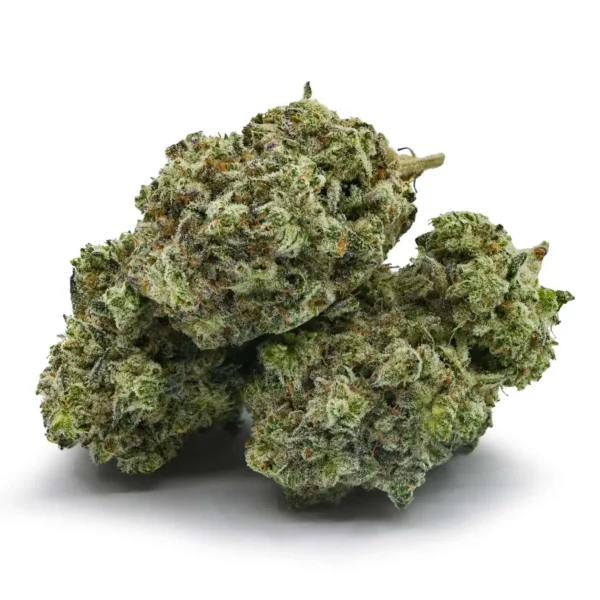 Buy Great White Shark Strain Online in Canada