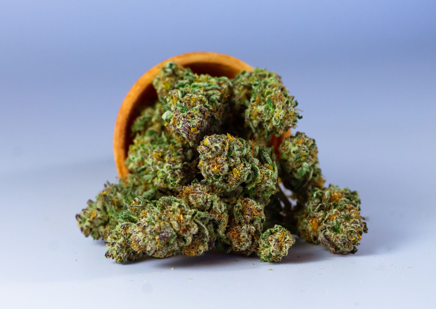 Best Value Quarter Pound Strains for Heavy Smokers Right Now - Bulk Weed BC