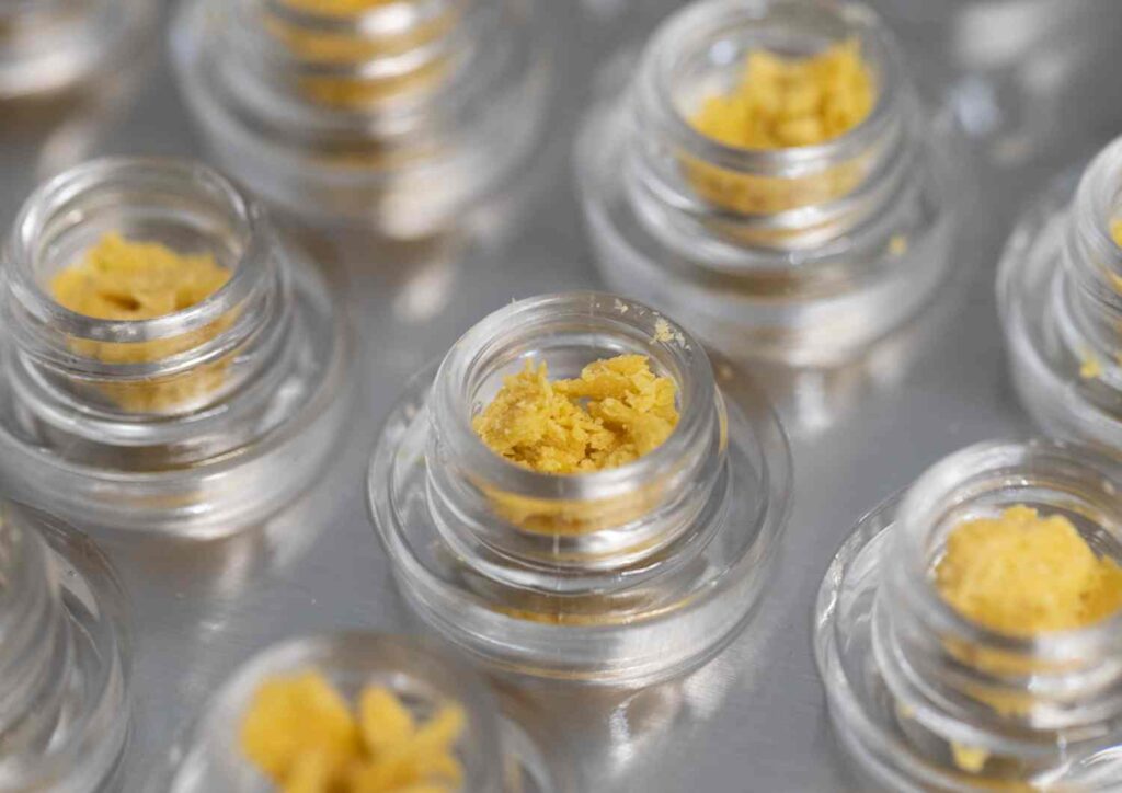 Bulk Concentrate Buying Guide – Maximize Savings in Spring 2026 - Bulk ...